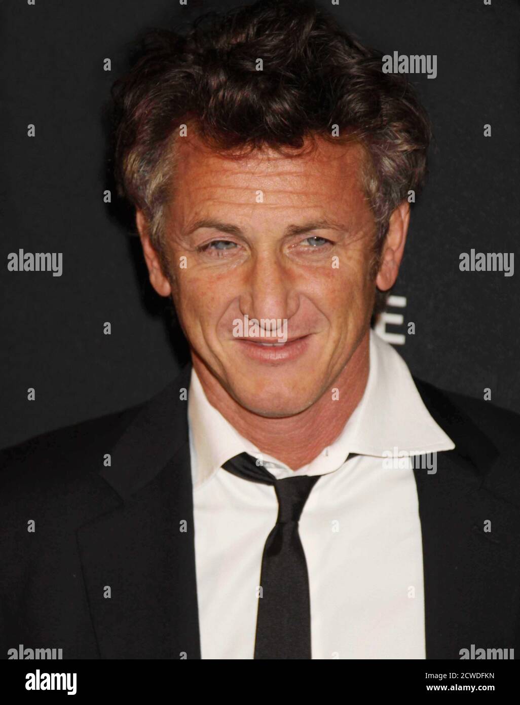 Sean Penn 2010 Photo By John Barrett/PHOTOlink Stock Photo - Alamy