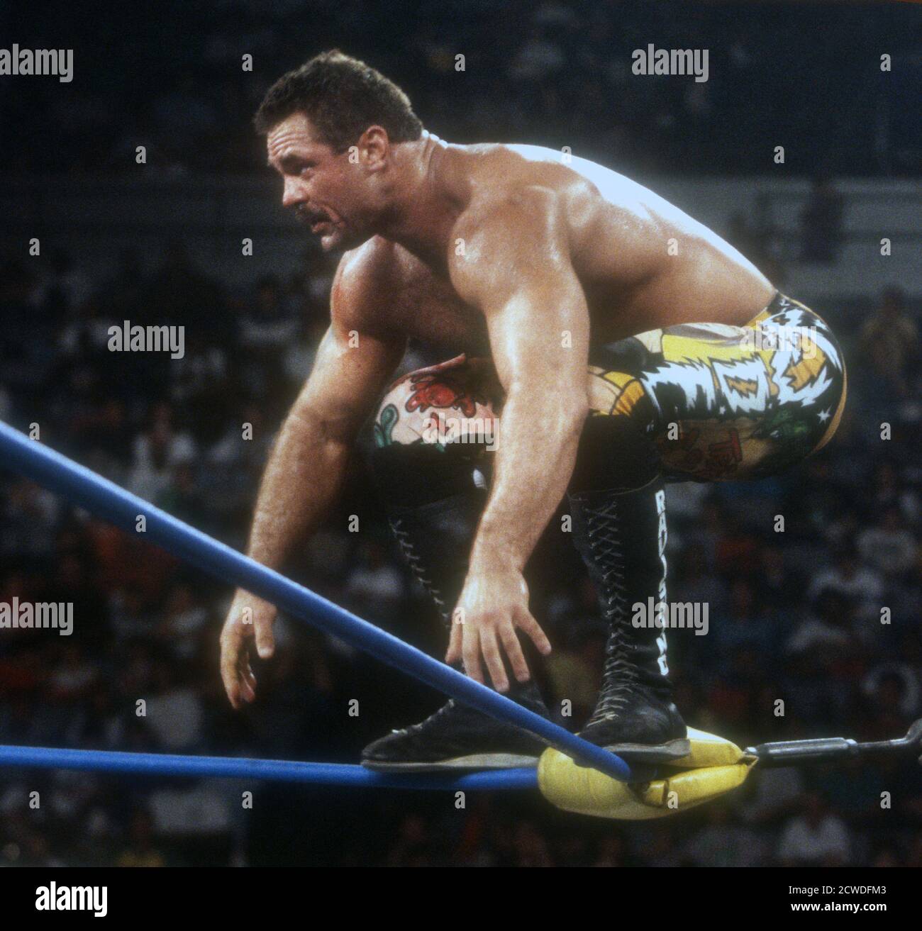 Rick Rude, 1993 Photo By John Barrett/PHOTOlink Stock Photo - Alamy