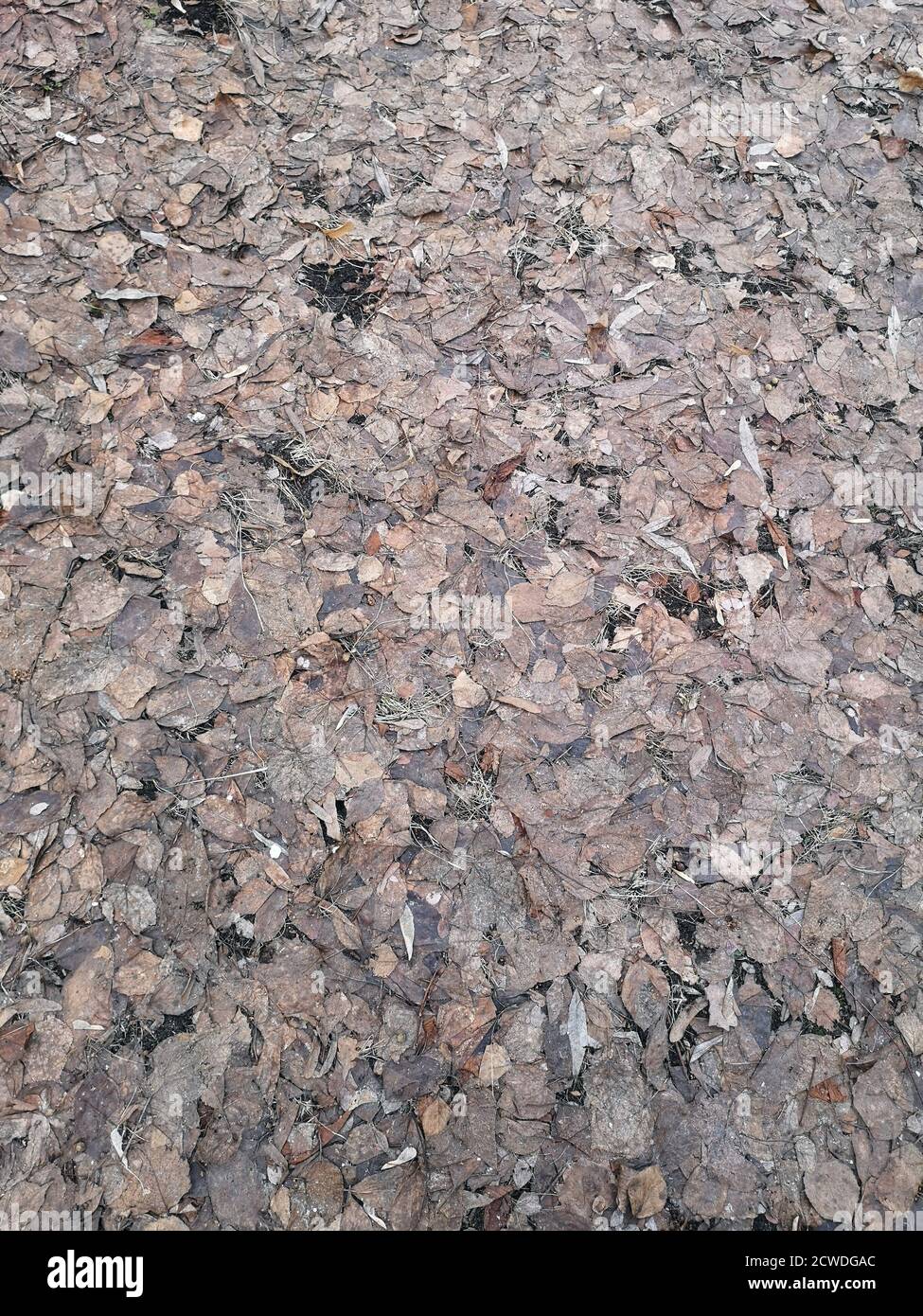 granite texture - marble layers design gray stone slab surface rock ...