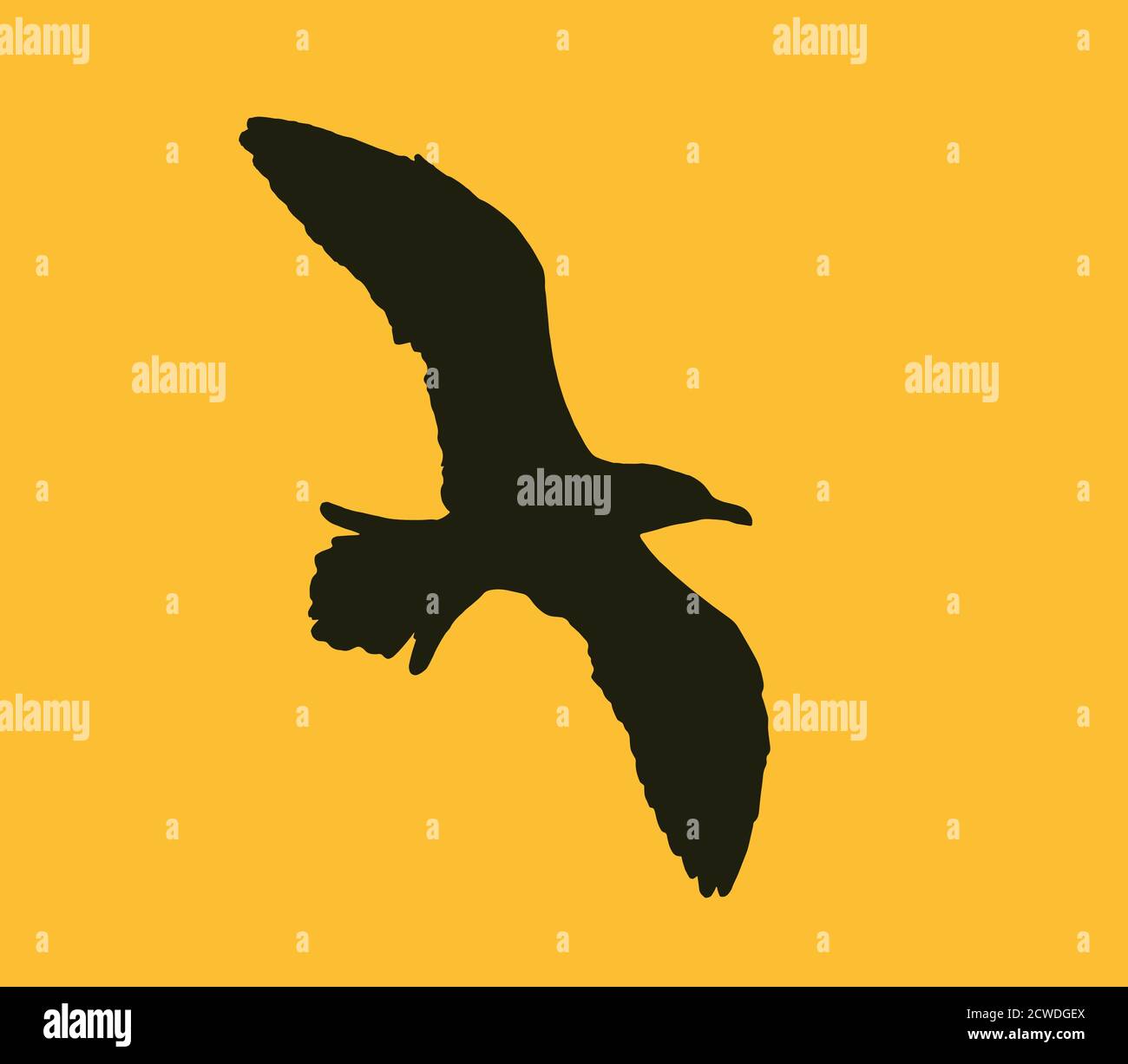 Seagull Stock Vector Images - Alamy