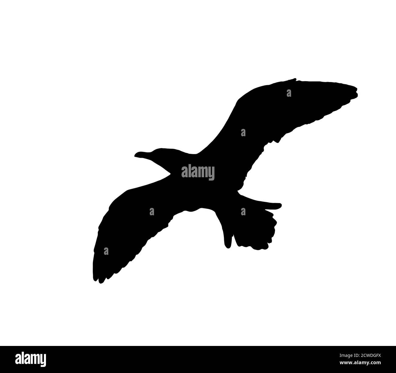 Flying seagull bird black silhouette hi-res stock photography and ...