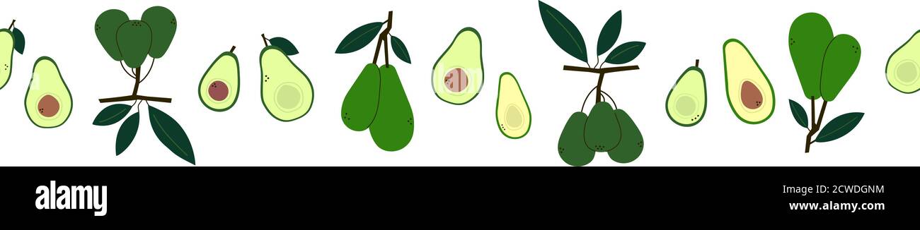 Modern seamless border with avocado. Set of vector fruit isolated on ...