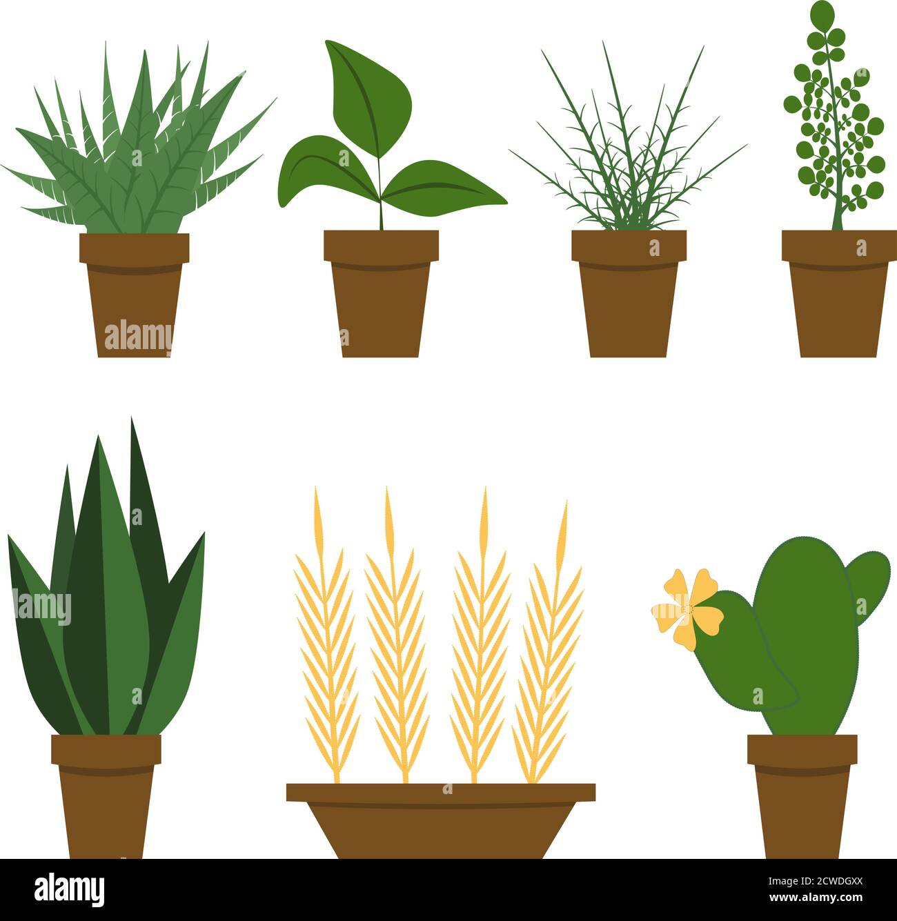Decorative potted plants. Vector illustration. Isolated on a white ...