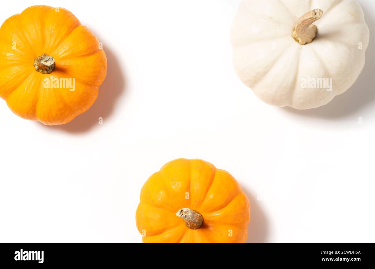 Orange and white pumpkin on a white background Stock Photo - Alamy