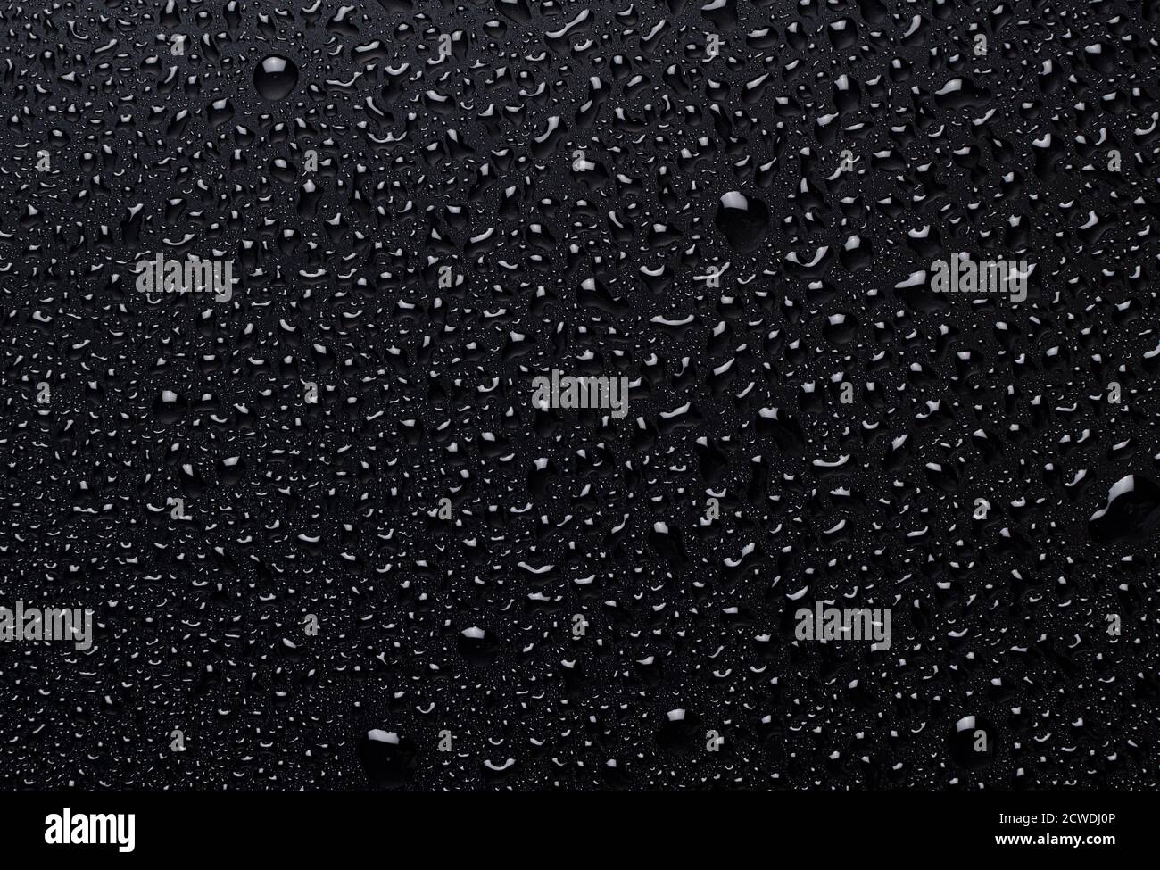 Water droplets on a black background. Water droplets on a background of ...