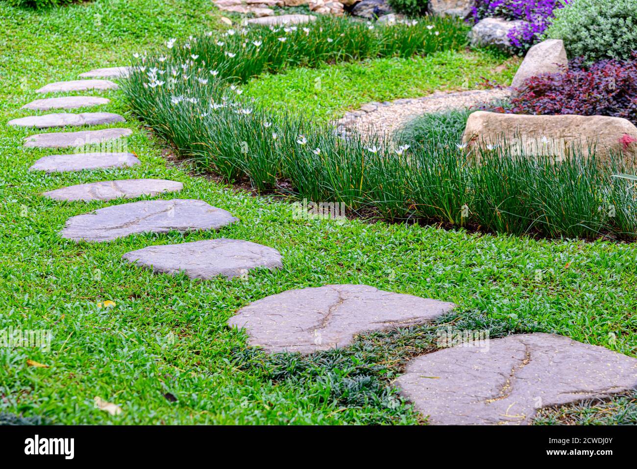 Stepping stone path in lawn hi-res stock photography and images - Alamy