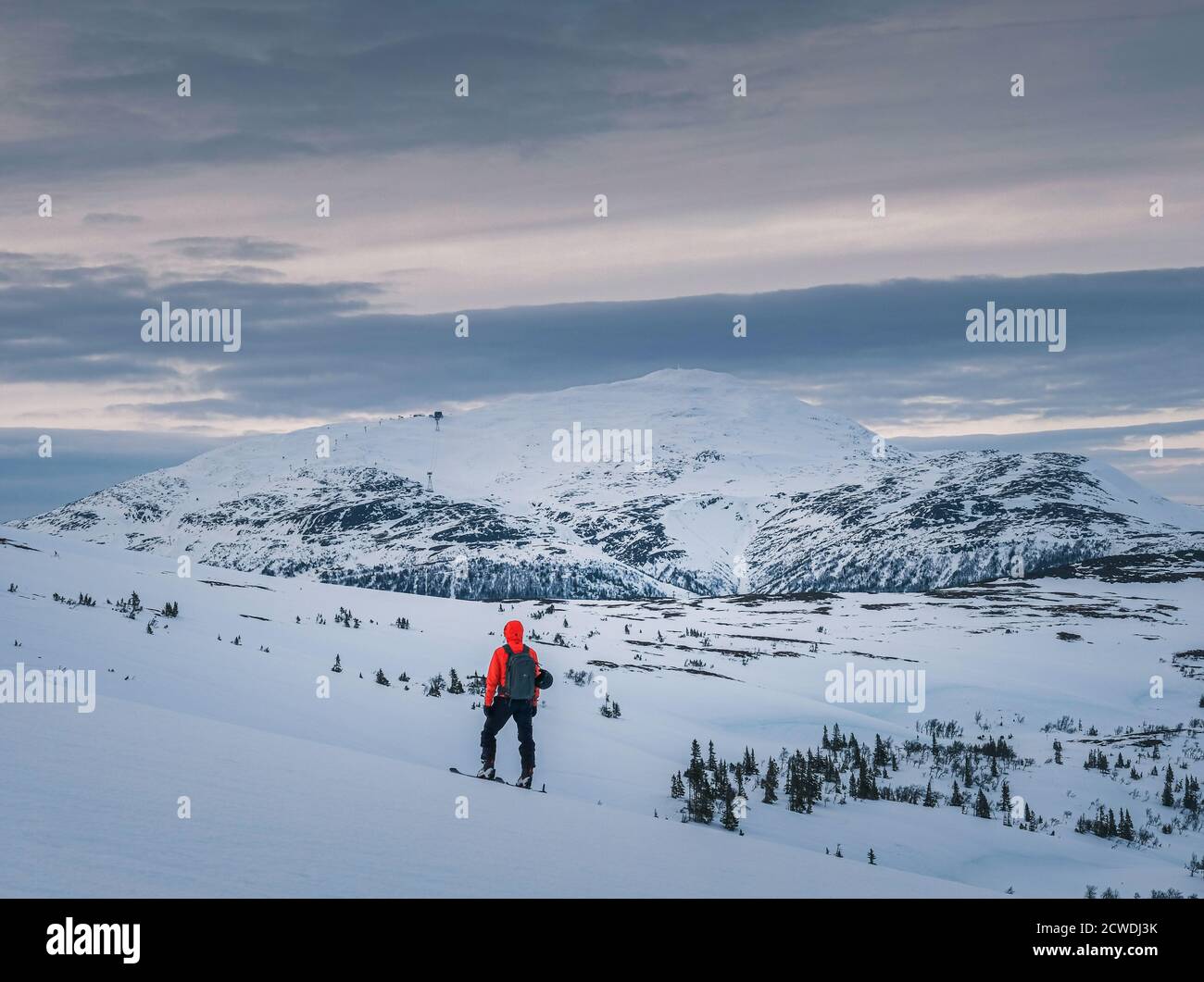 Back view of a hiker in the snowy mountains Stock Photo - Alamy