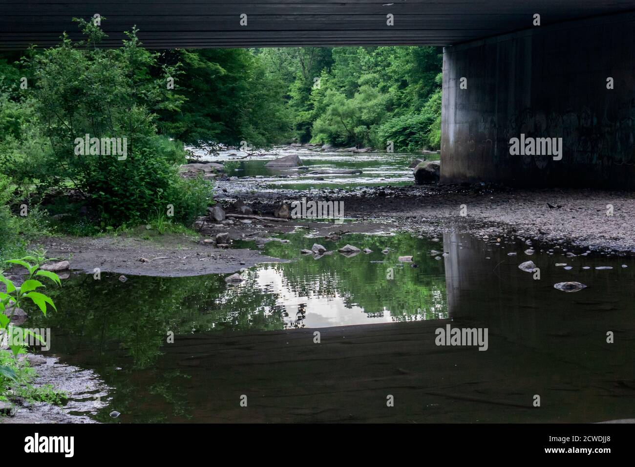 trees, river and stones under a motorway bridge. Reflection in water ...