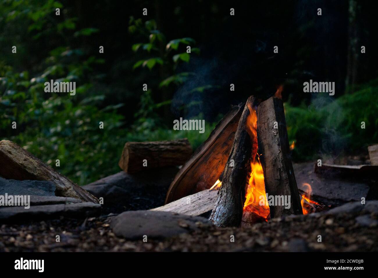 Campfire in the woods. Close up of red flames coming from burning logs ...