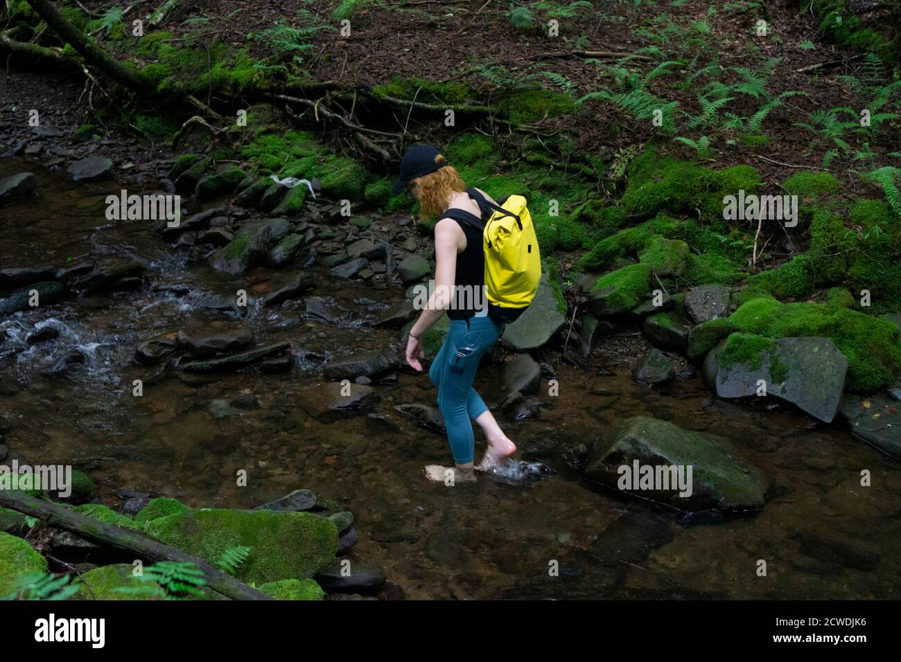Young woman walking barefoot in a cold stream in the woods. Hiker ...