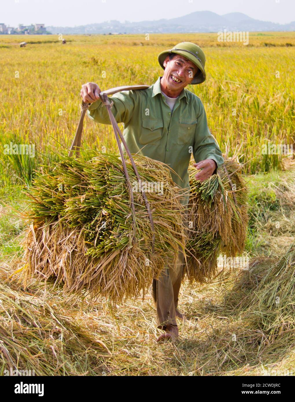Sapa, Vietnam - Oct 22, 2011: Farmers harvest rice Stock Photo - Alamy