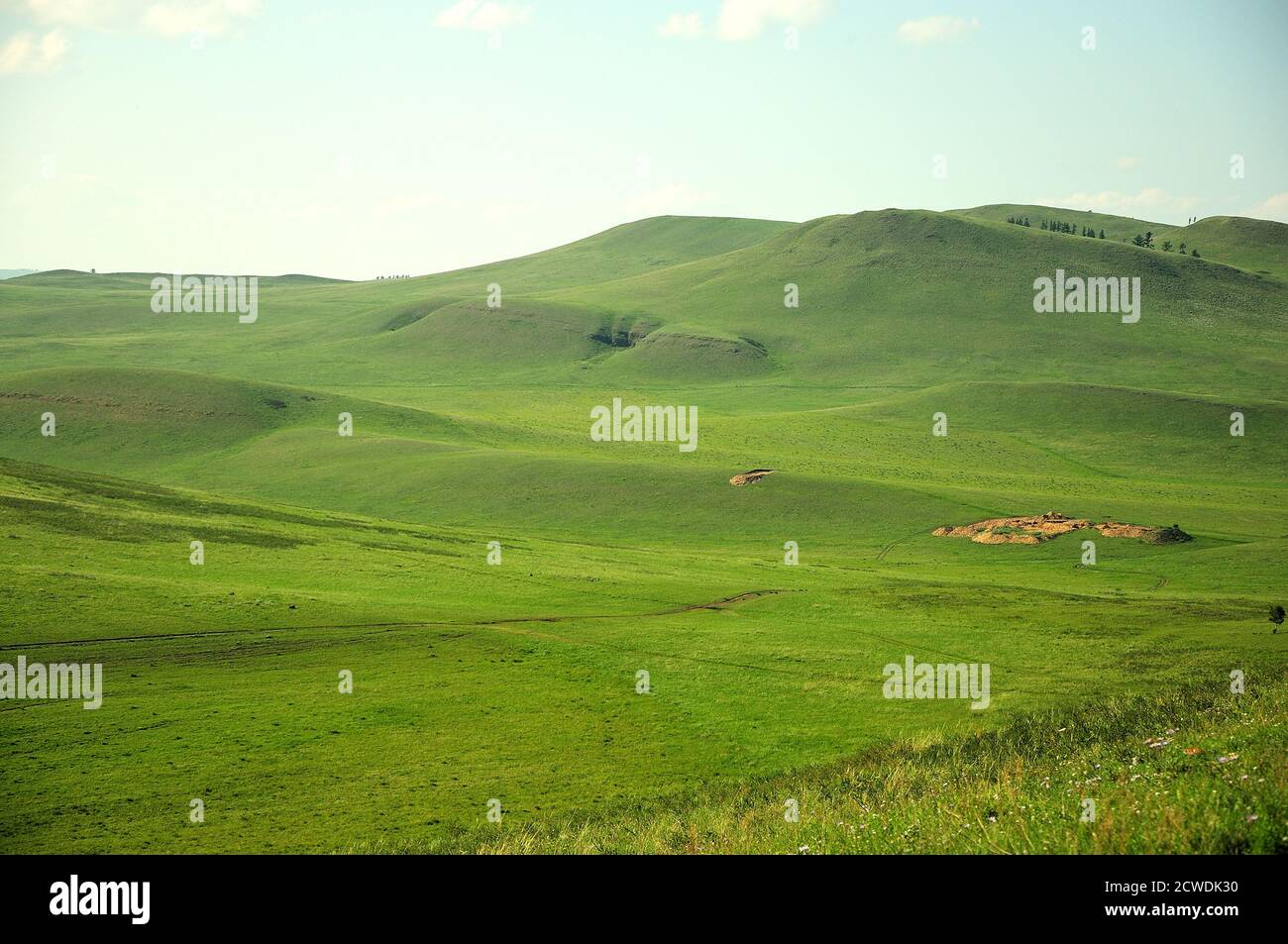 High hills overgrown with grass in the endless steppe under the summer ...
