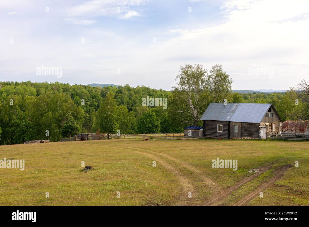 Poor grazing land hi-res stock photography and images - Alamy