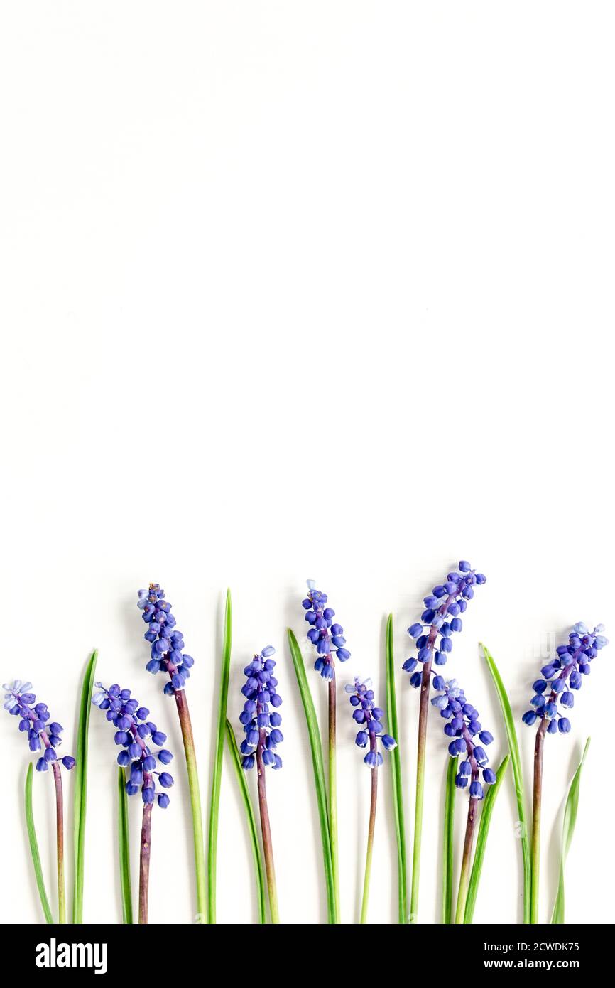 Round floral frame blue Cut Out Stock Images & Pictures - Alamy