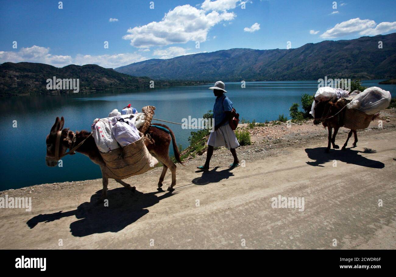 Haiti wildlife hi-res stock photography and images - Alamy
