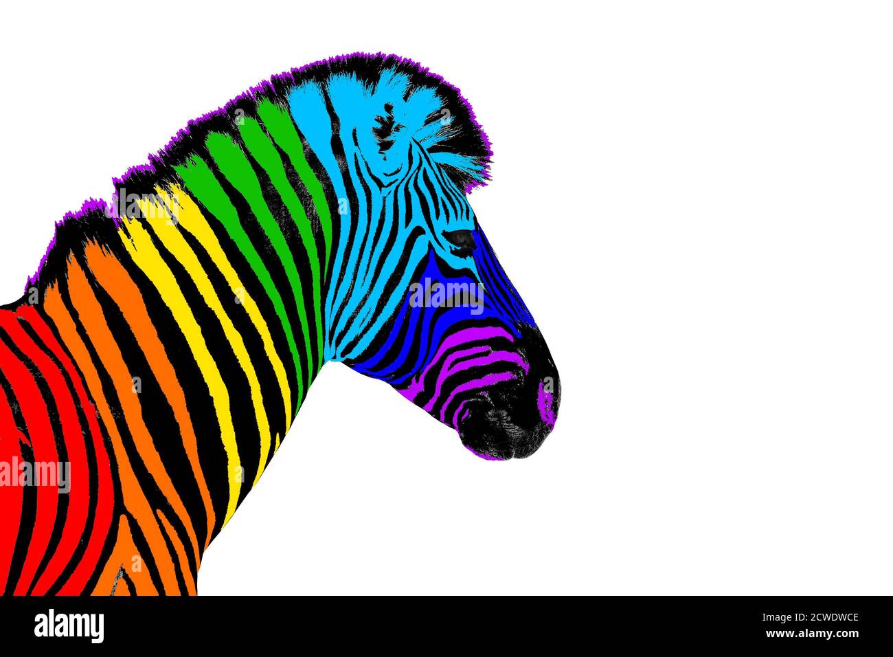 Rainbow Zebra Backgrounds