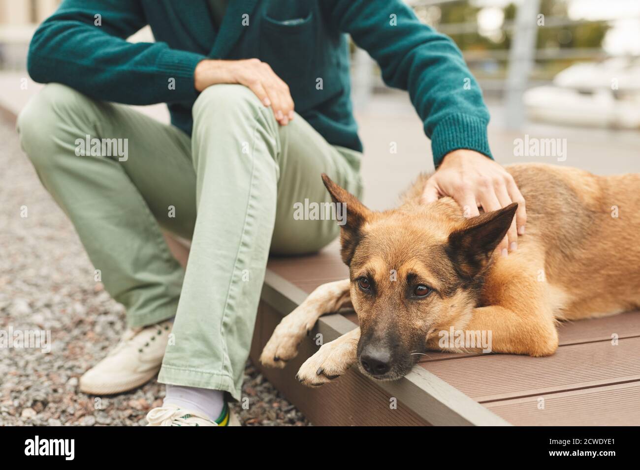 Man walking with sheepdog hi-res stock photography and images - Alamy