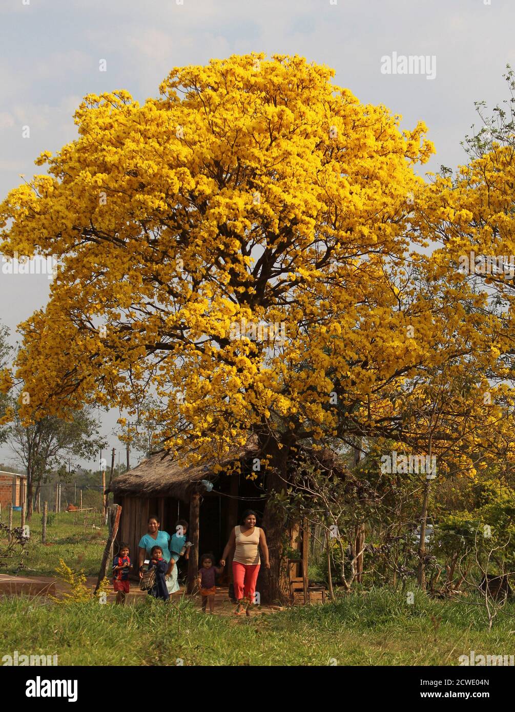Indigenous family paraguay hi-res stock photography and images - Alamy