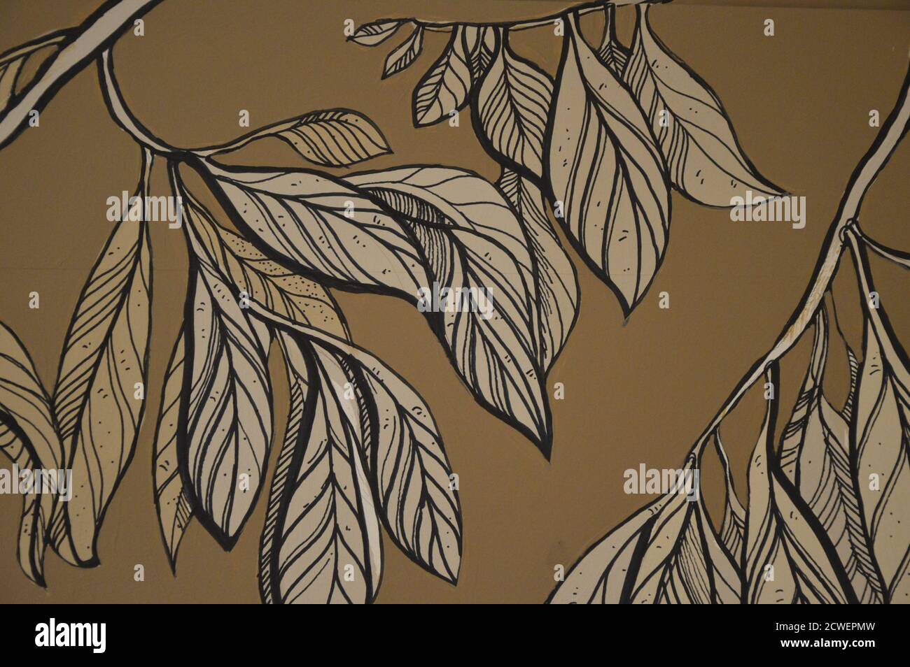 Autumn painted tree closeup leaves hi-res stock photography and images ...