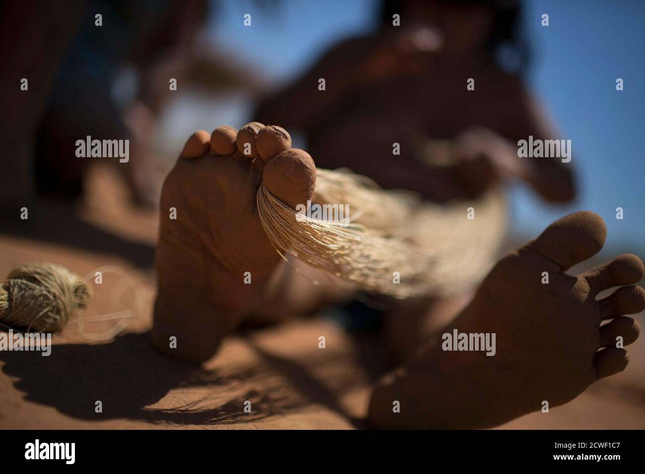 Quarup High Resolution Stock Photography and Images - Alamy