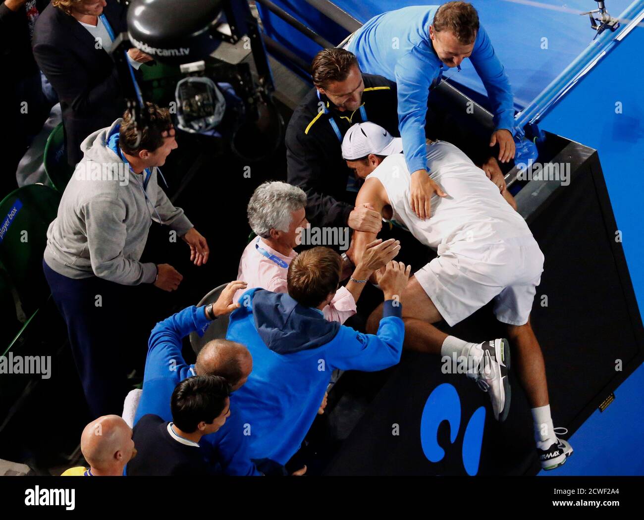 Butorac hi-res stock photography and images - Alamy