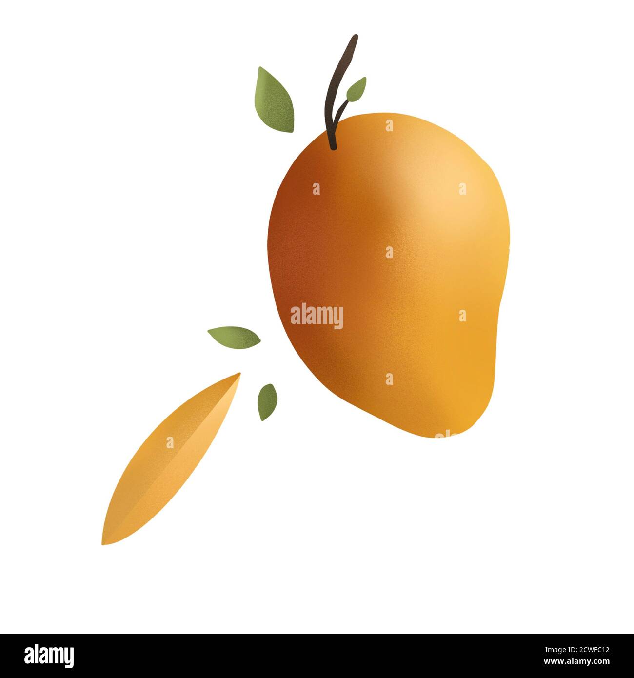 ripe mango illustration. fresh mango and mango slice isolated. exotic ...
