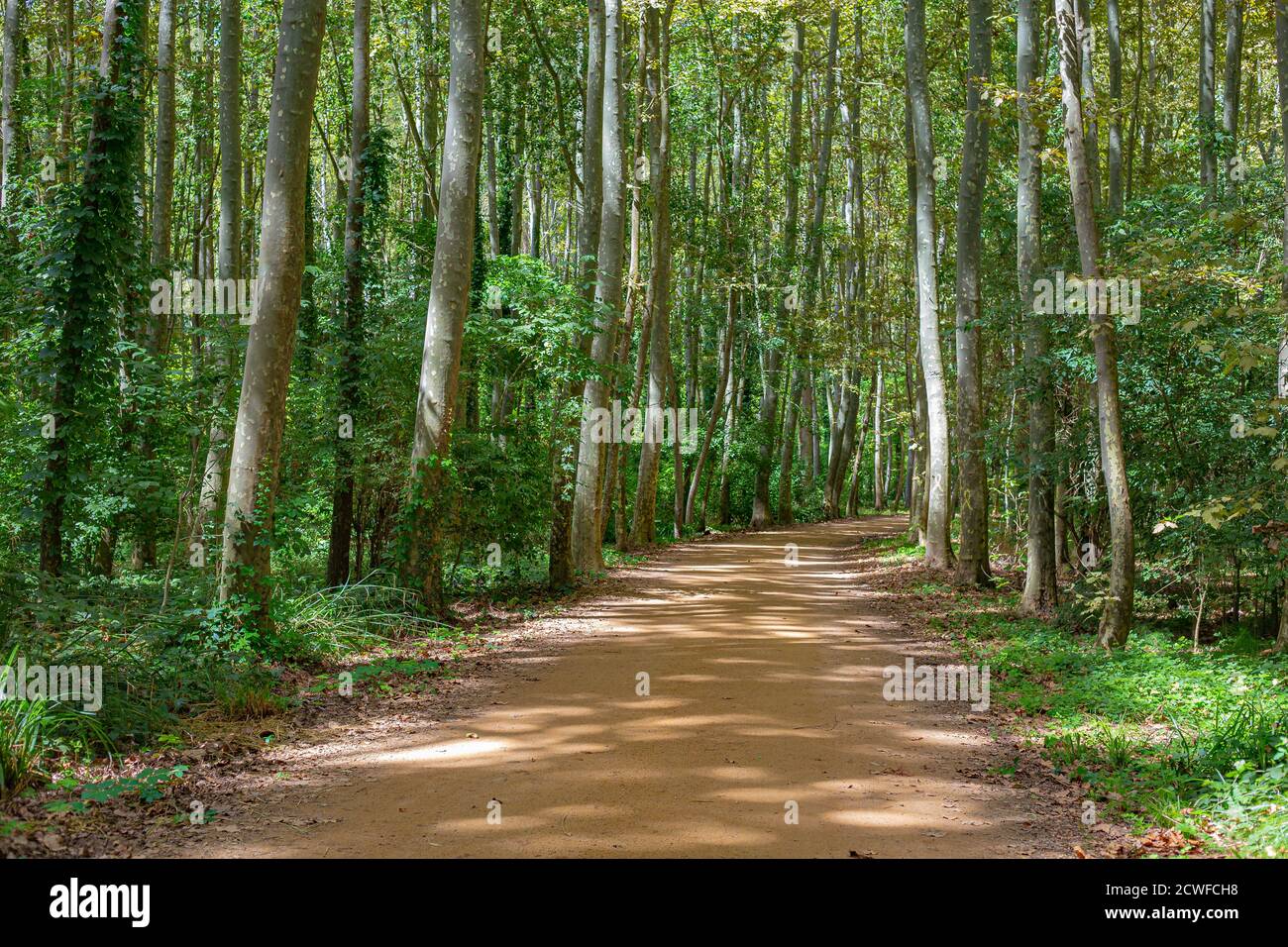 Gravel way hi-res stock photography and images - Alamy