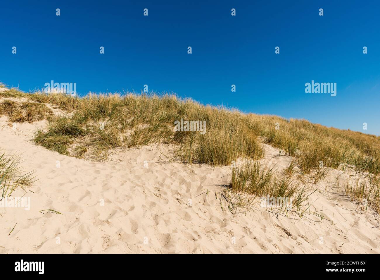 Sand beach background in Denmark. Sunny day on the sea coast. Blue Sky ...