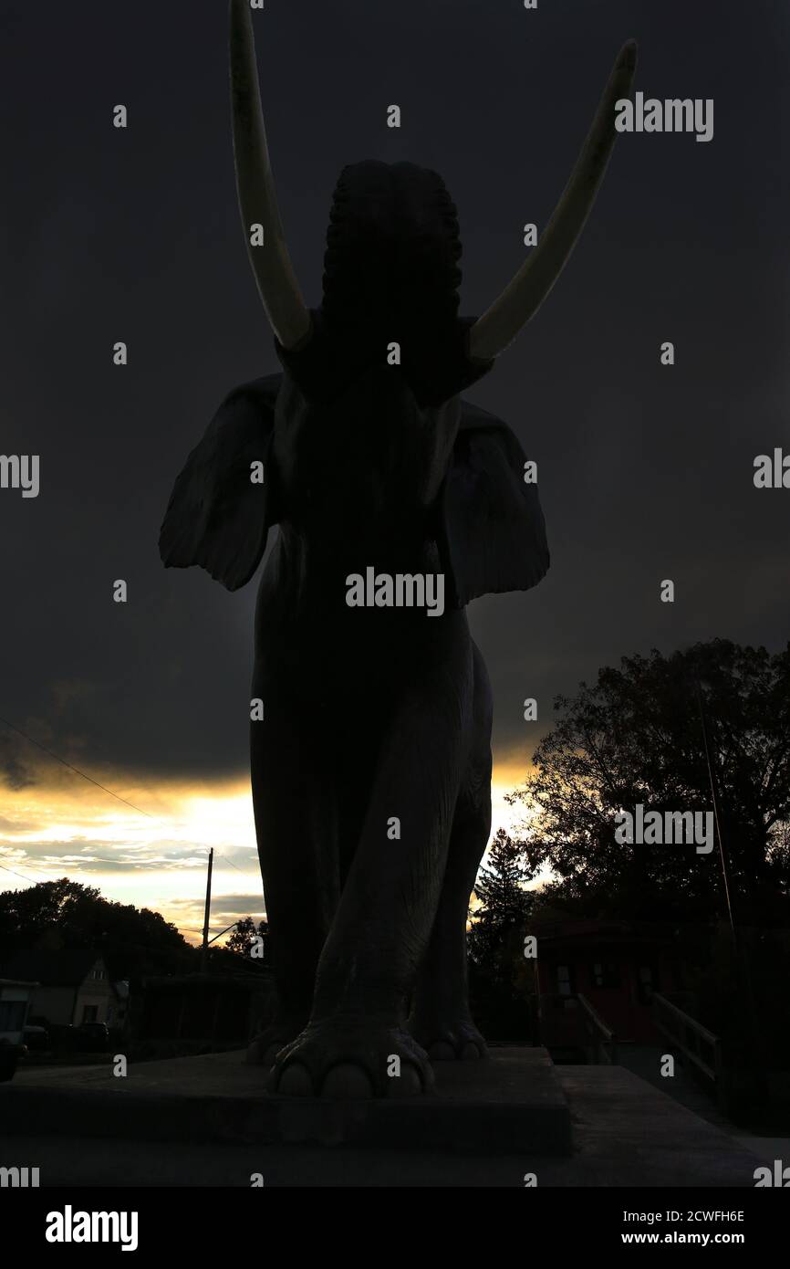 Barnum's circus jumbo hi-res stock photography and images - Alamy