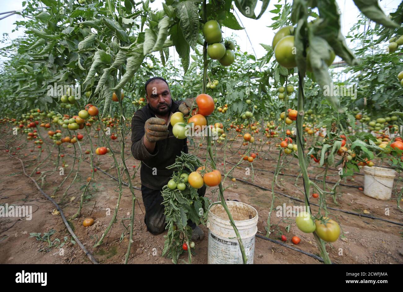 Farmer blockade hi-res stock photography and images - Alamy