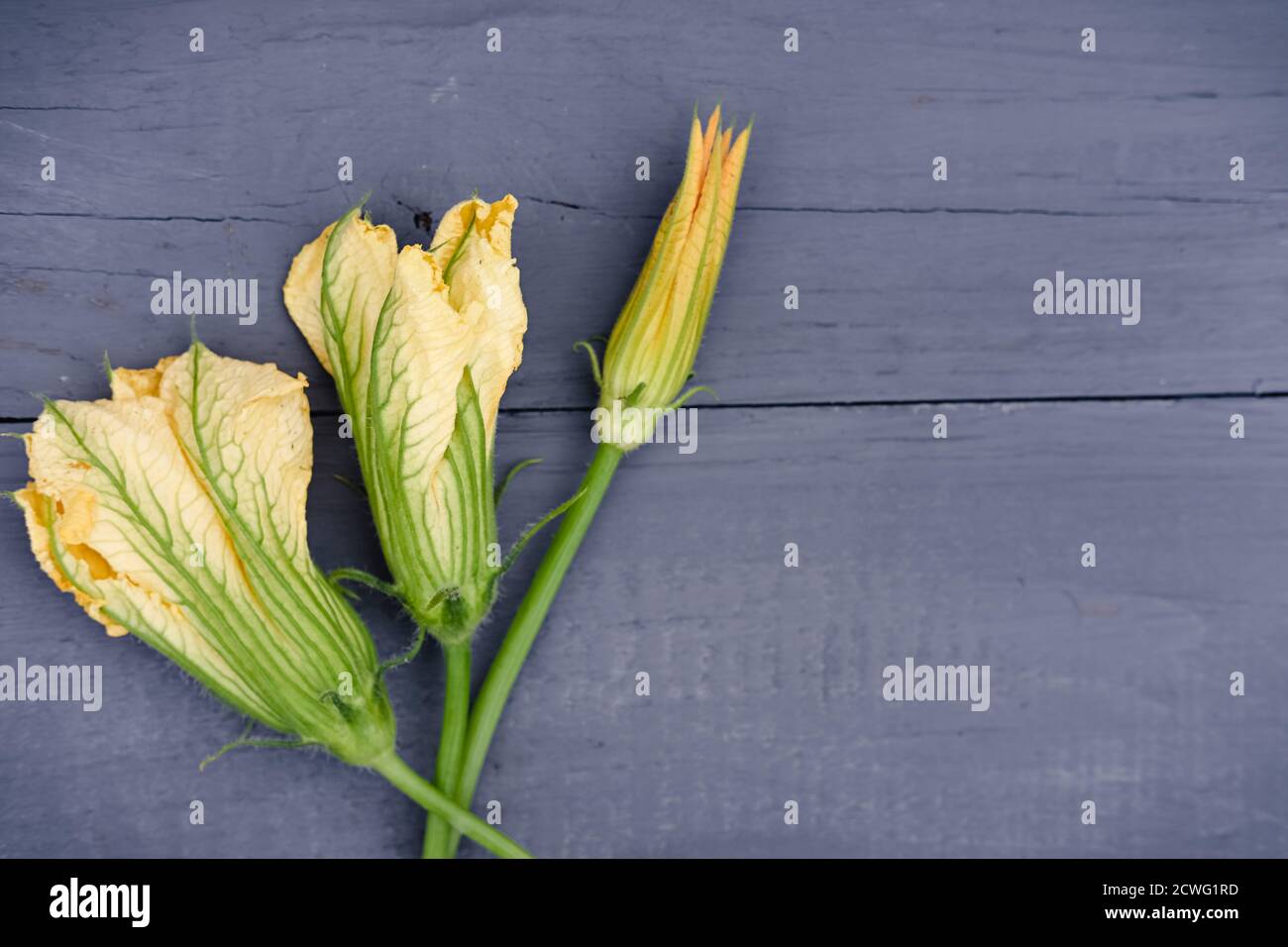 squash flowers on grey rustic table. edible flowers concept. squash ...