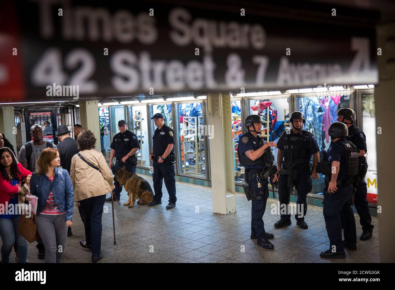 Operational police dog hi-res stock photography and images - Alamy