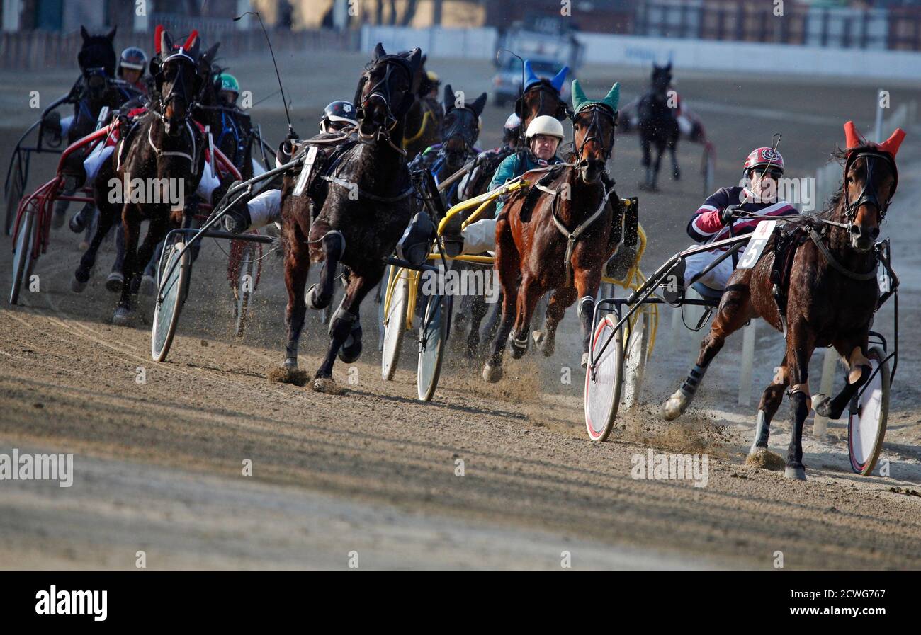Trotting track hi-res stock photography and images - Alamy