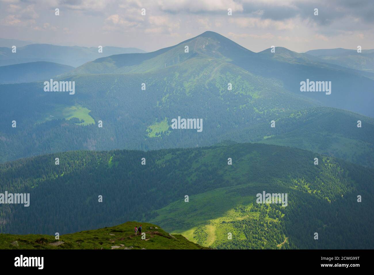 Mountain hills, Carpathian mountains landscape in summer. View of Mount Hoverla Stock Photo - Alamy