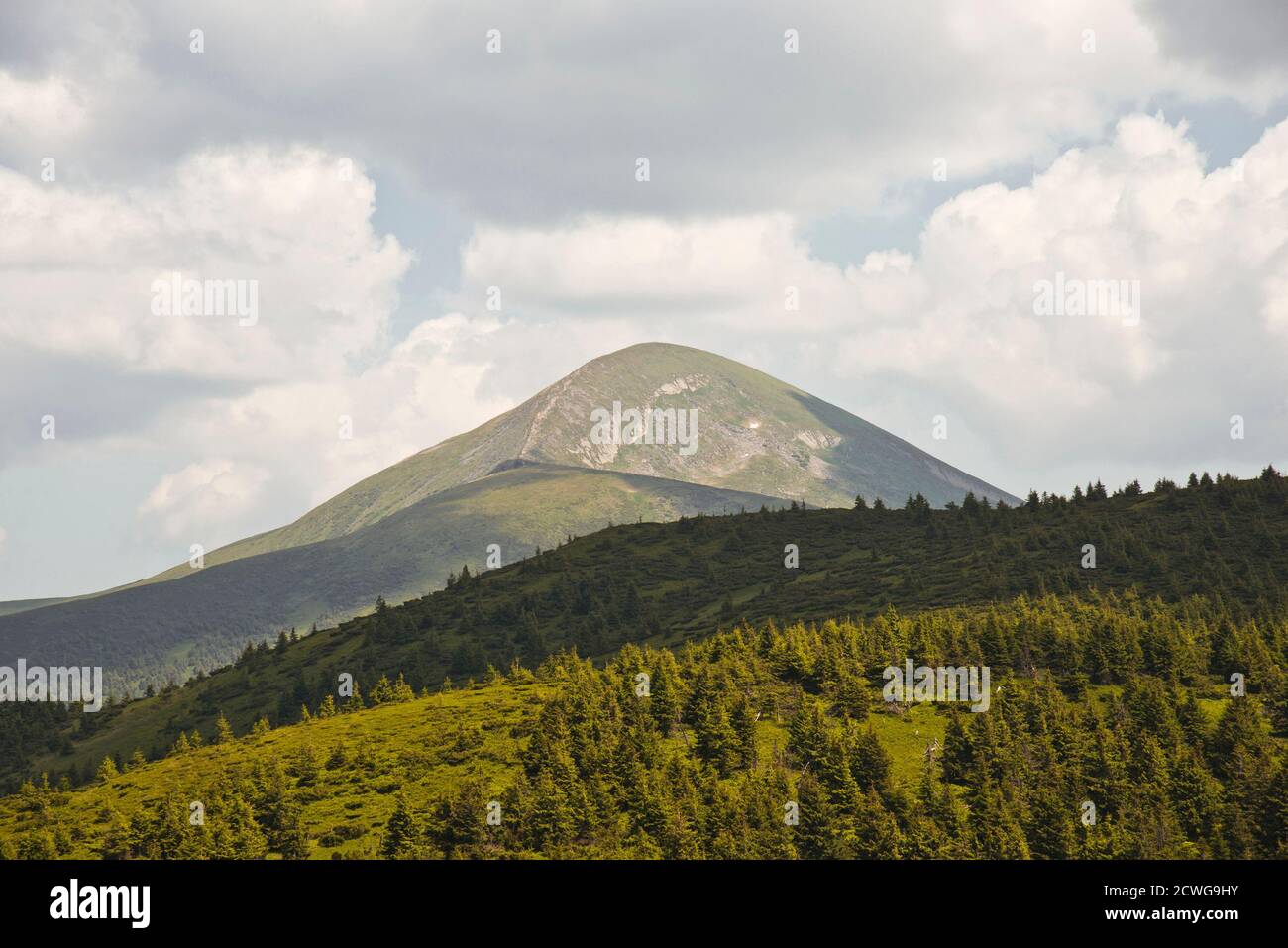 Mountain hills, Carpathian mountains landscape in summer. View of Mount Hoverla Stock Photo - Alamy