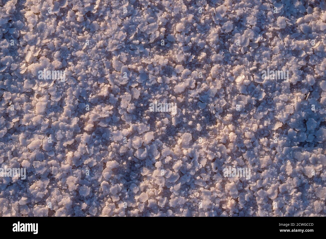 Crystals of pink salt natural background. Genichesk extremely salty ...