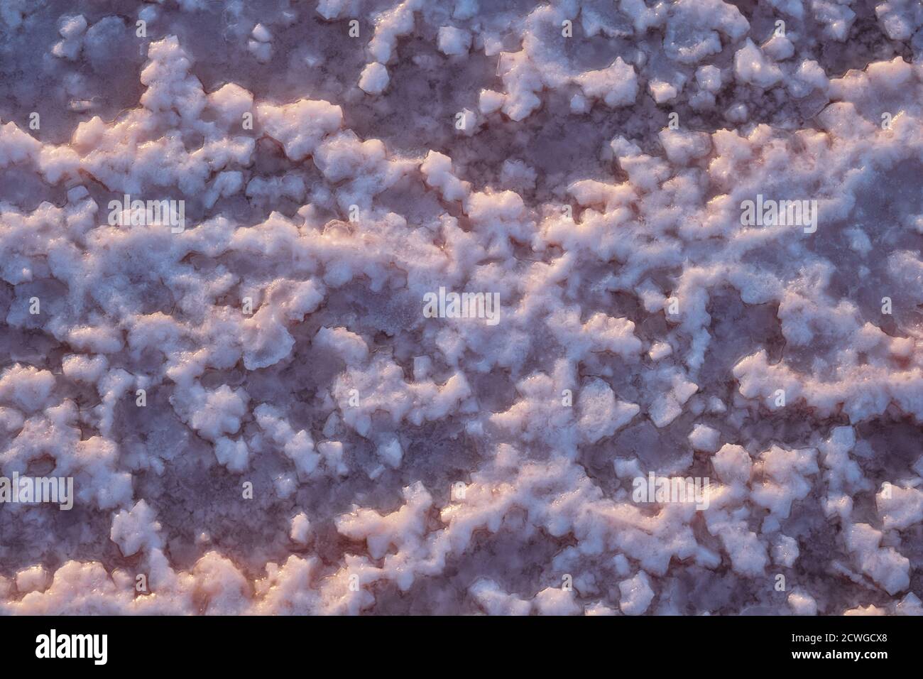 Crystals of pink salt natural background. Genichesk extremely salty ...