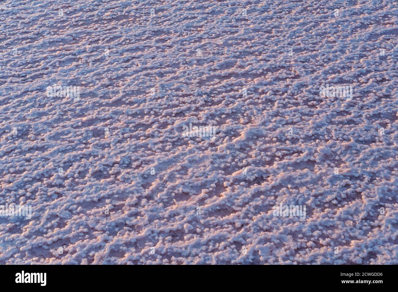 Crystals of pink salt natural background. Genichesk extremely salty ...