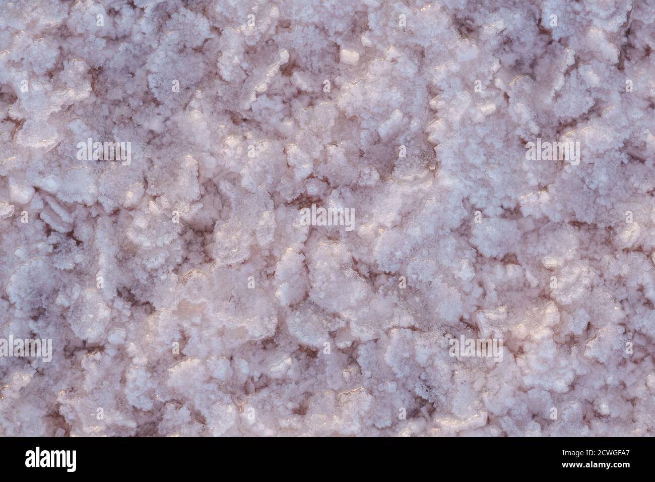 Crystals of pink salt natural background. Genichesk extremely salty ...
