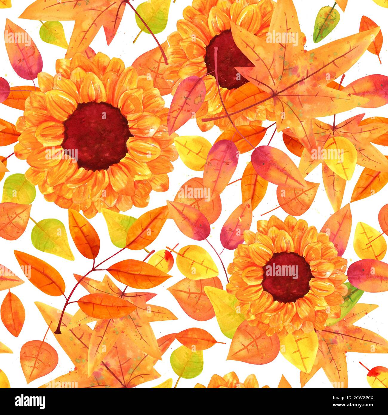 Falling sunflowers hi-res stock photography and images - Alamy