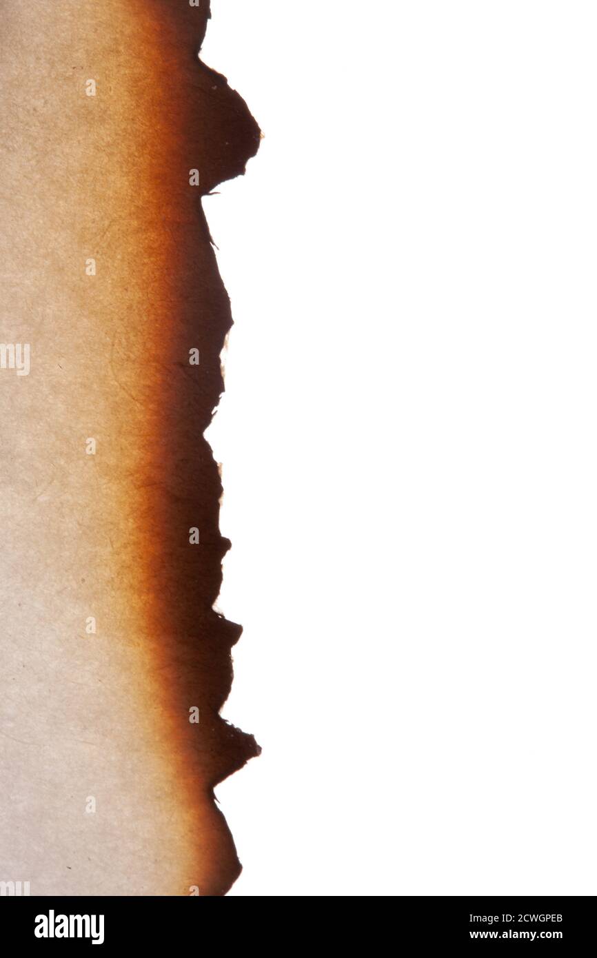 burnt paper edges isolated on white background. template for design ...