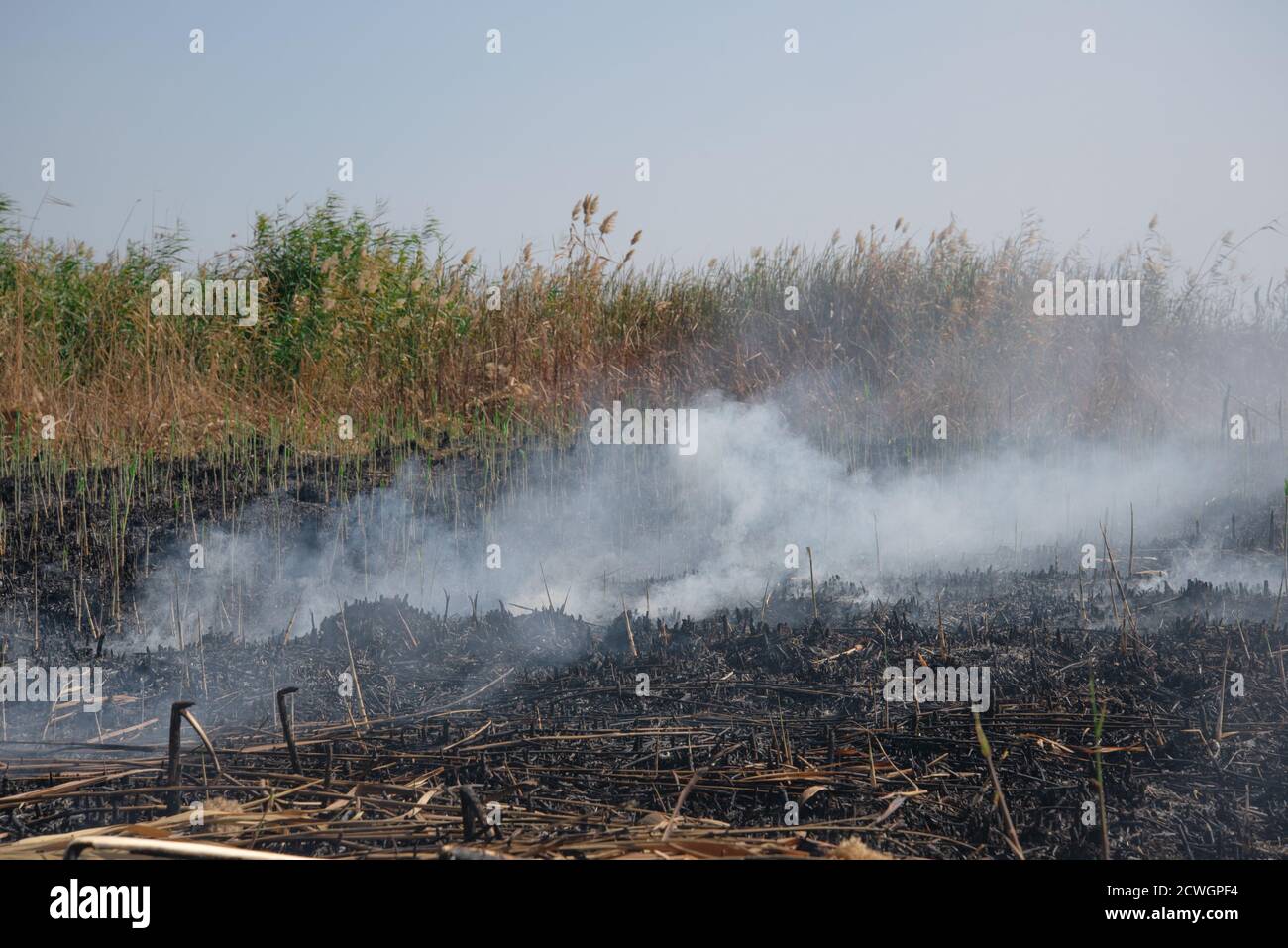 Burnt earth hi-res stock photography and images - Alamy