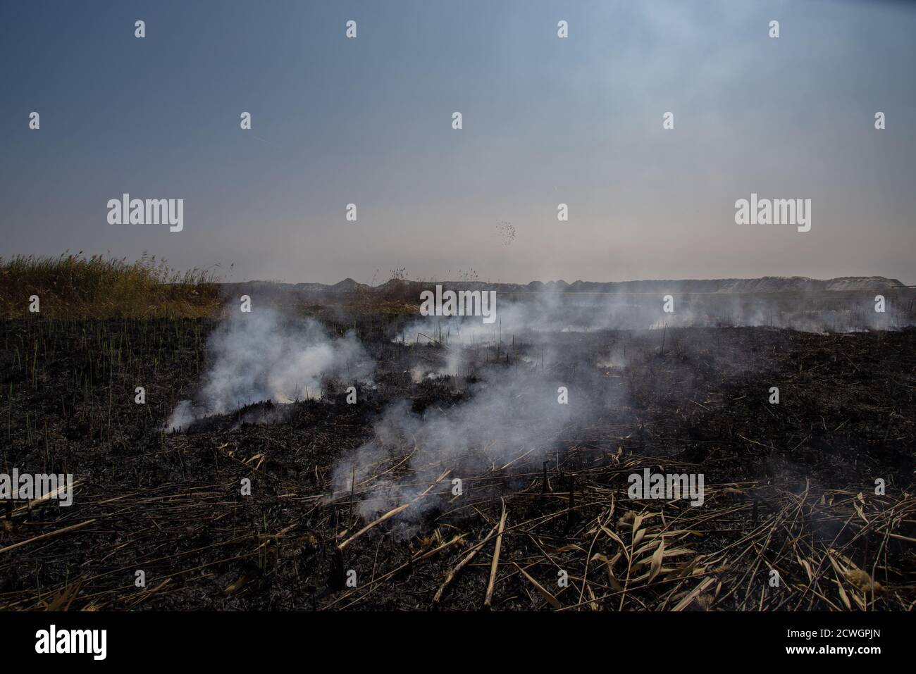 Burnt earth hi-res stock photography and images - Alamy