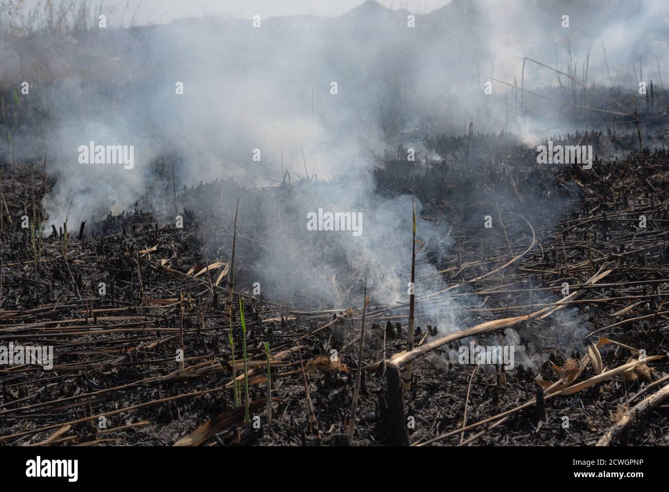 Burnt earth hi-res stock photography and images - Alamy