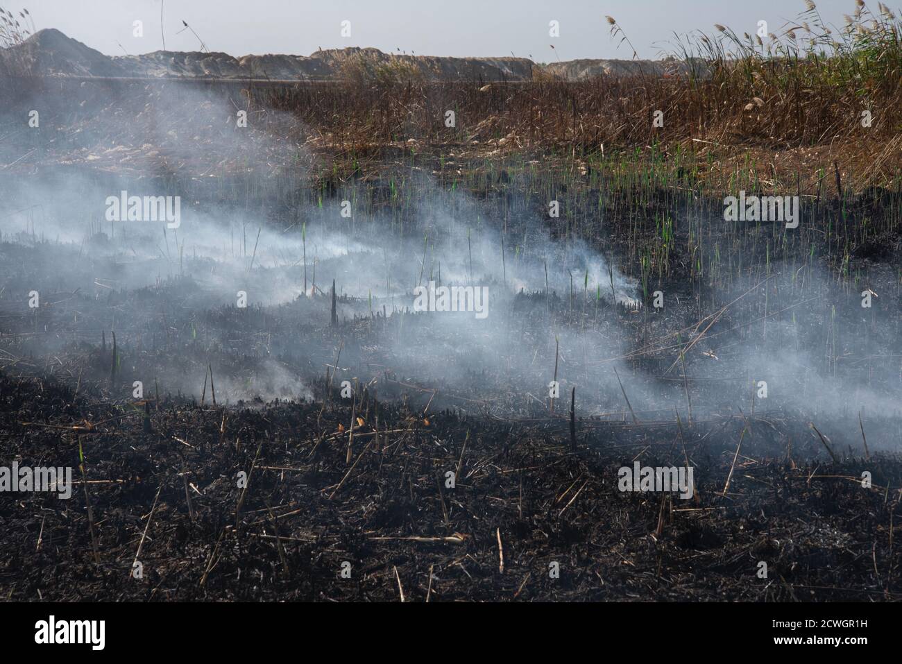 Burnt earth hi-res stock photography and images - Alamy
