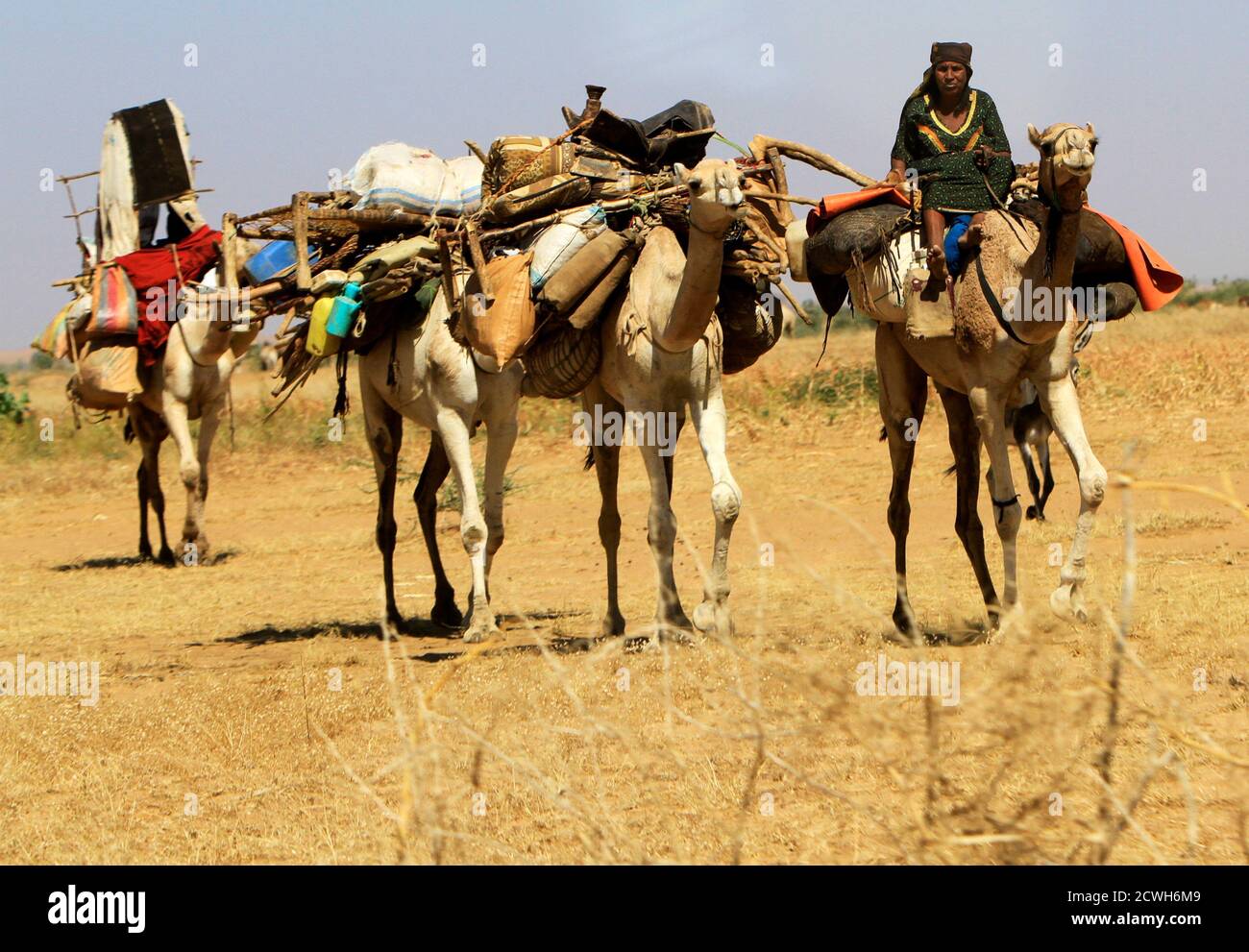Arab nomadic tribe hi-res stock photography and images - Alamy