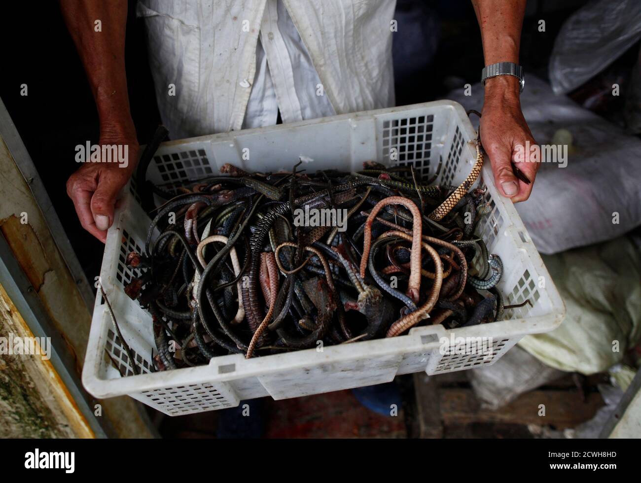 Snake farm china hi-res stock photography and images - Alamy