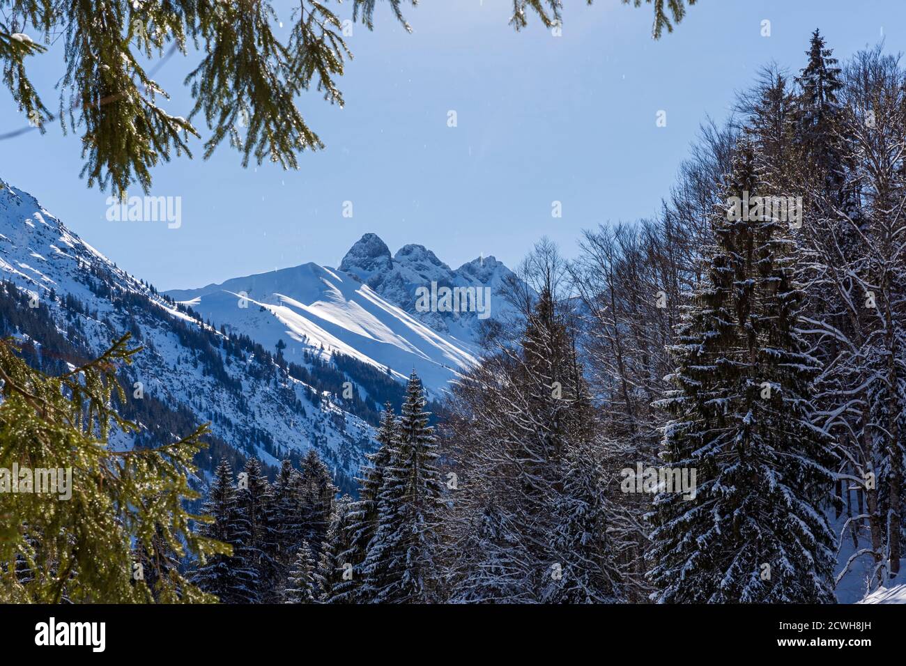 Winterlandschaft; Berge; Wald; verschneit Stock Photo - Alamy