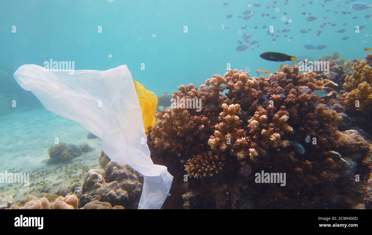 Plastic Bag polluting a coral reef, environmental pollution. Plastic ...