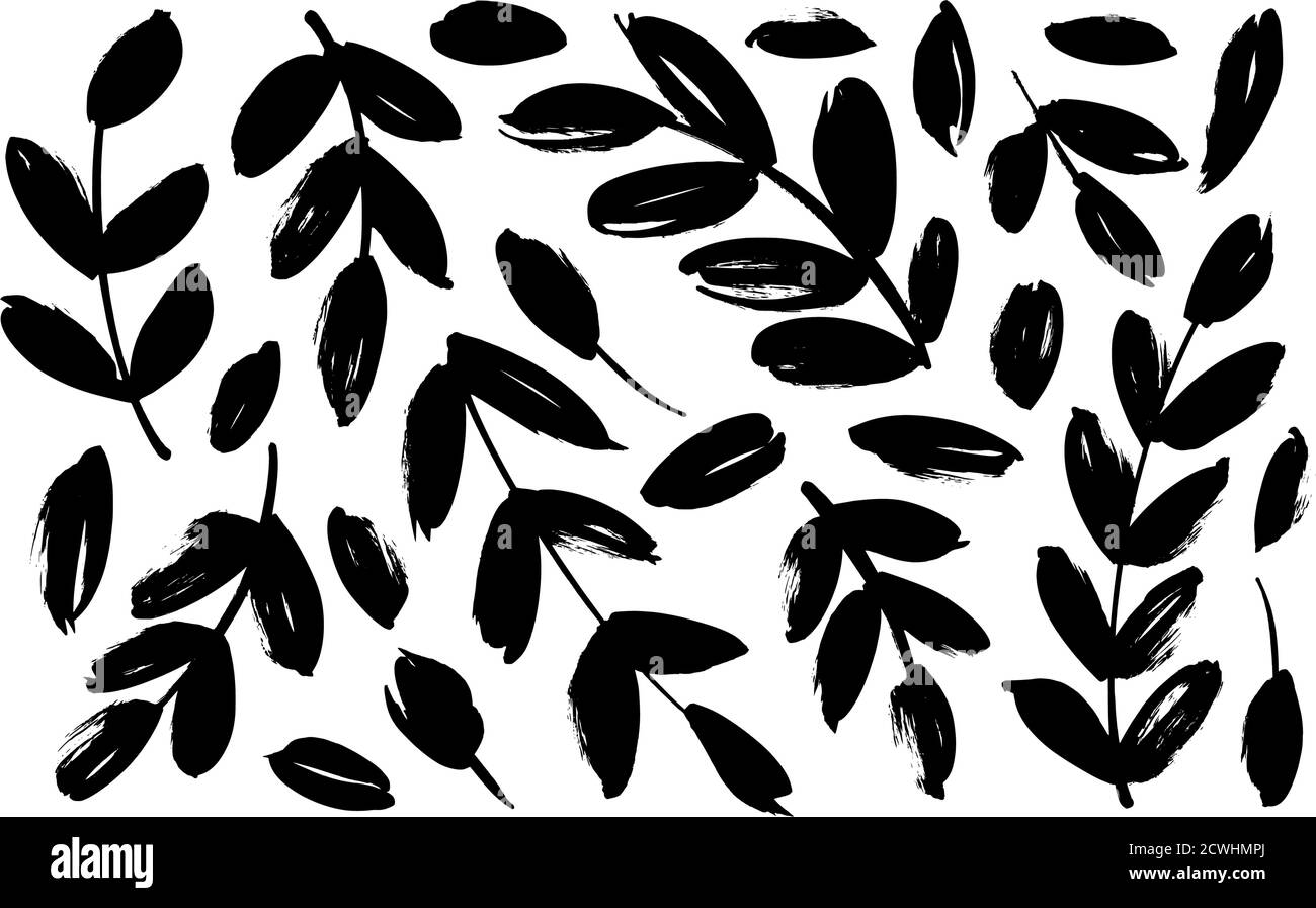 Brush branches with leaves vector collection Stock Vector Image & Art ...